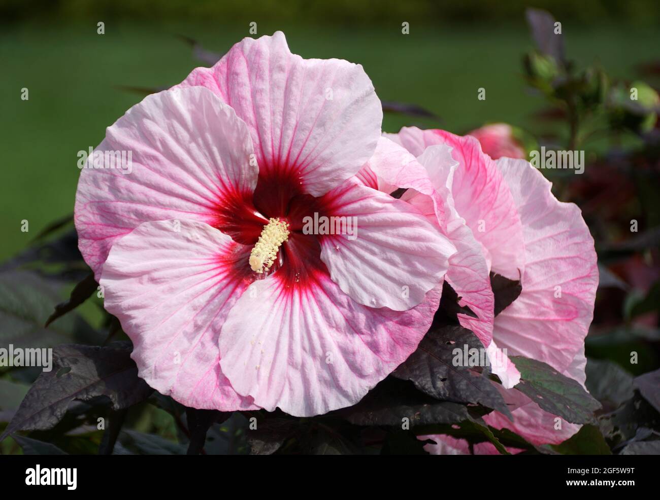 The perfect storm hi-res stock photography and images - Alamy