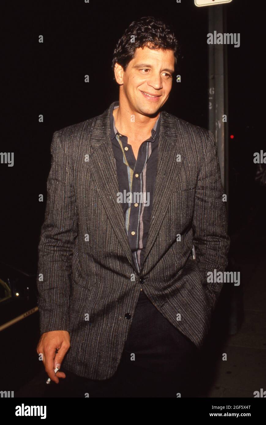 Ed Marinaro Circa 1980's Credit: Ralph Dominguez/MediaPunch Stock Photo ...