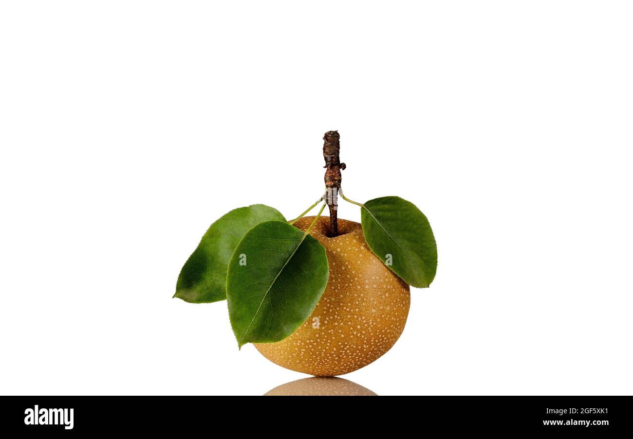 Single Pear with leaves isolated on white background with reflection in ...