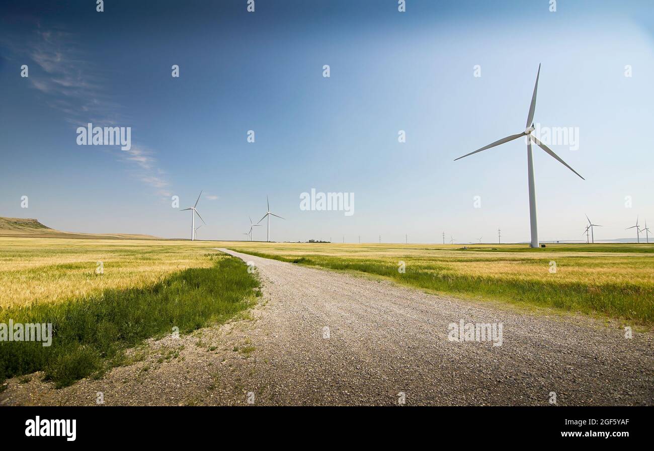 Wind turbine farm across a gravel road on the Canadian prairies near ...
