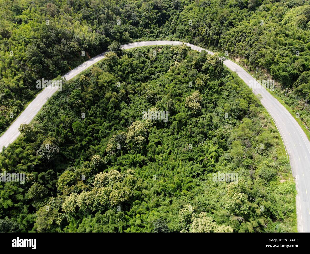 Aerial view forest nature with car on the road on the mountain green ...