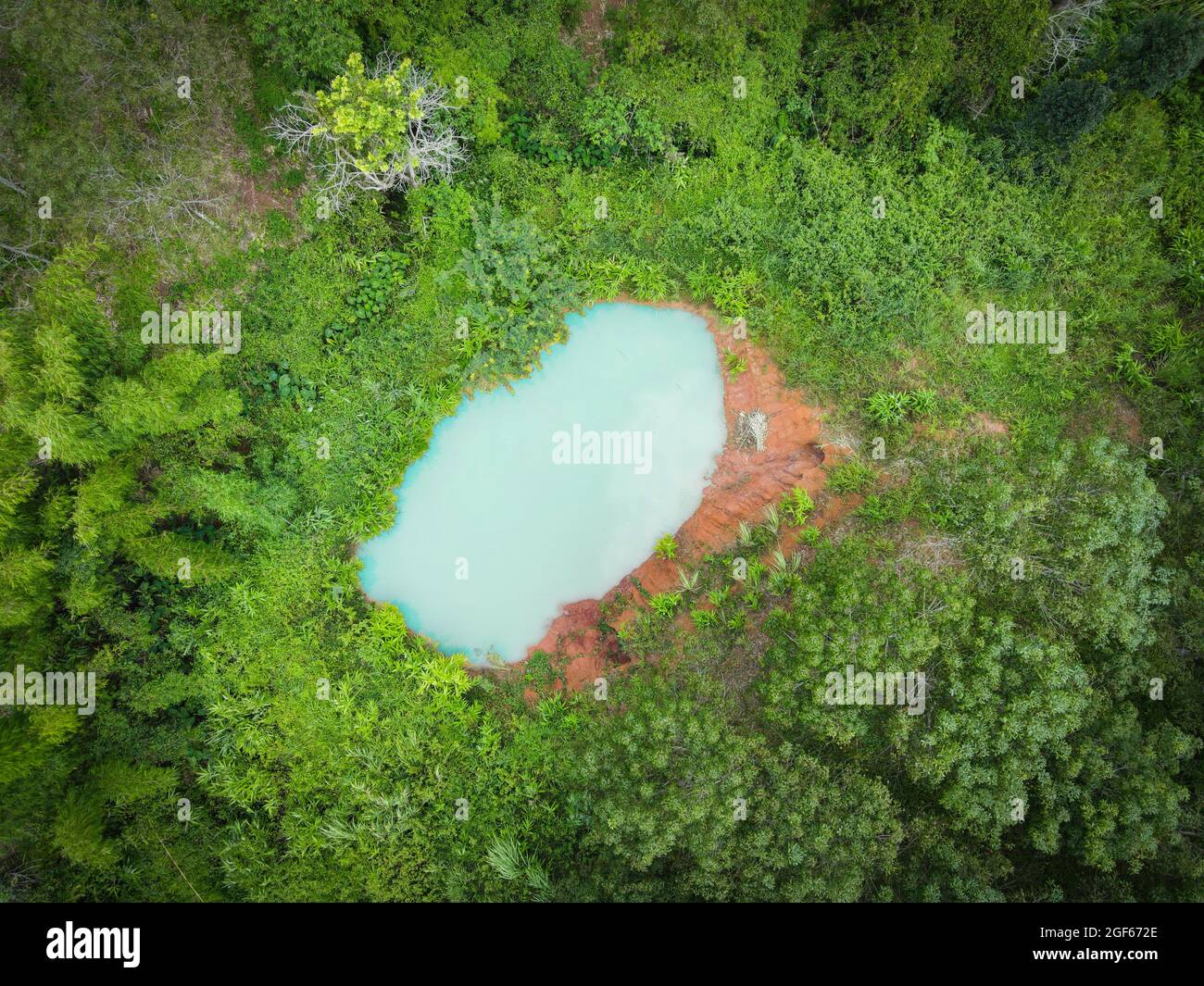 Aerial view river forest nature woodland area green tree, Top view ...