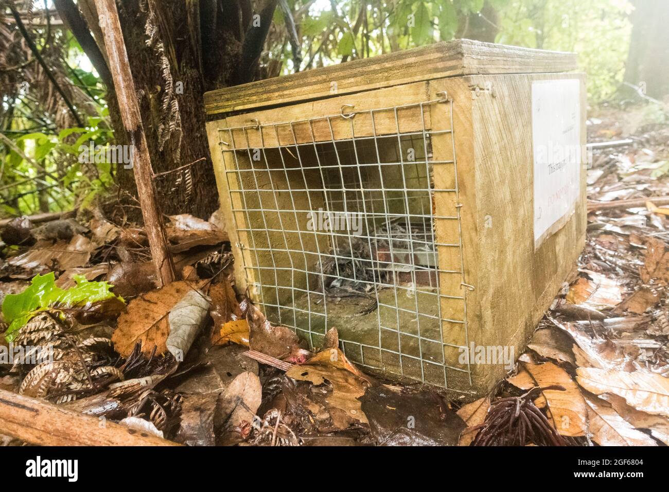Predator trap hi-res stock photography and images - Alamy
