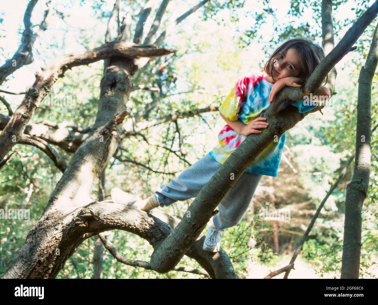 Portrait of a girl standing in a tree Stock Photo - Alamy