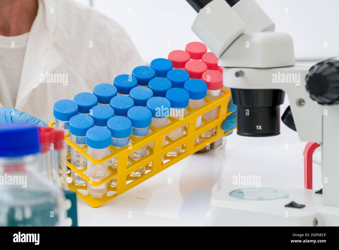 Molecular processes hi-res stock photography and images - Alamy