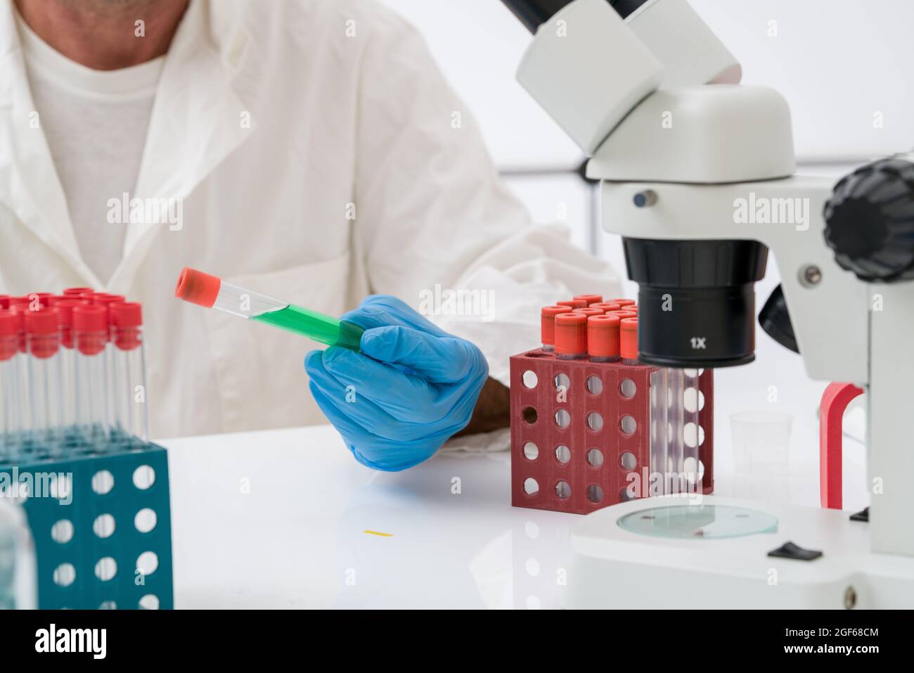 Scientific experiment in the laboratory of the metabolism of living ...