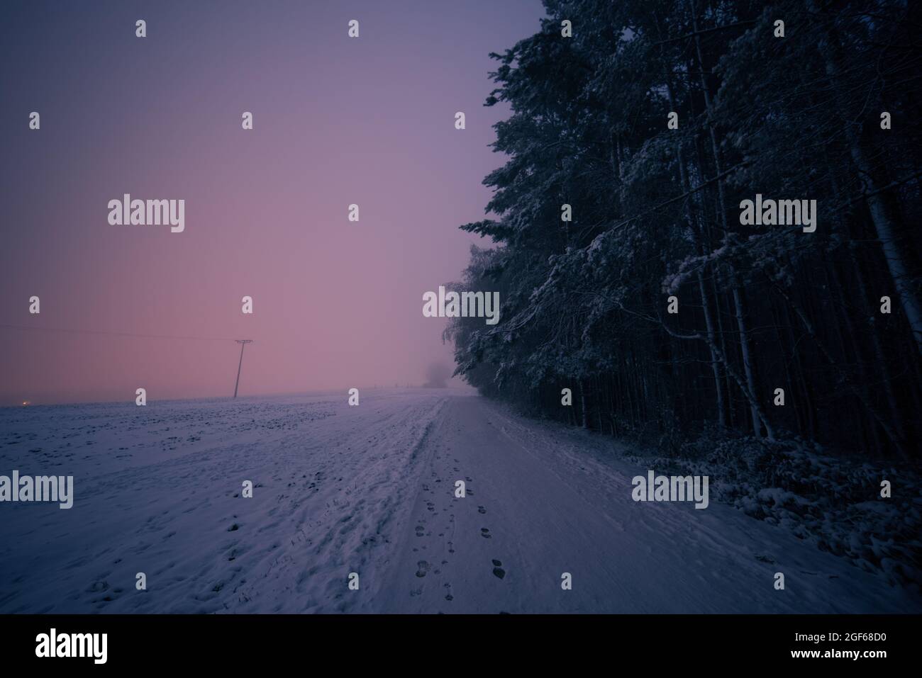 Night landscape with forest and road in fog, toned photo Stock Photo ...