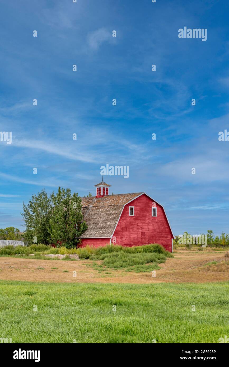 Widows peak hi-res stock photography and images - Alamy