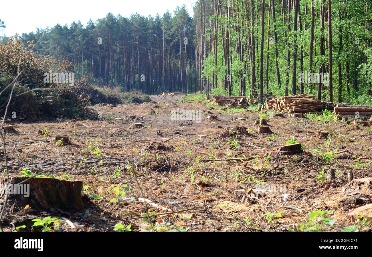Soil Erosion Deforestation Major Causes For Land Degradation
