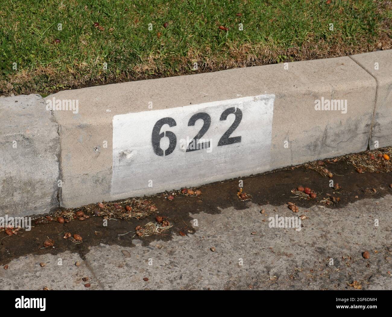 Beverly Hills, California, USA 20th August 2021 A general view of ...