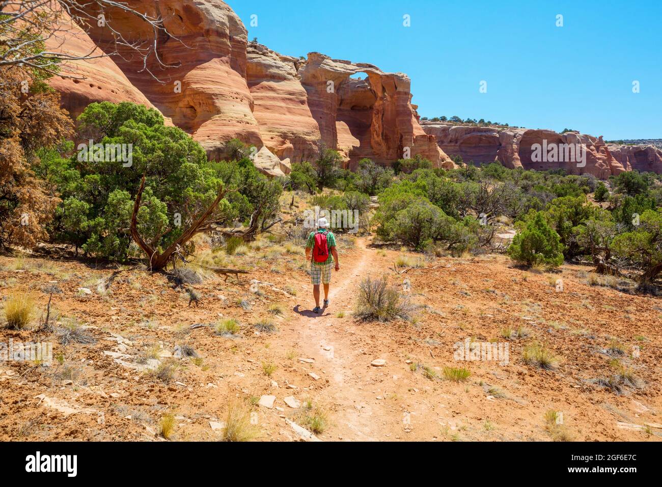 Natural arches formation in Colorado, USA Stock Photo - Alamy