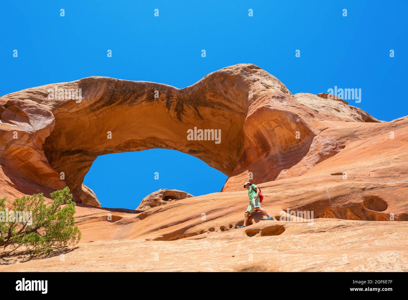 Natural arches formation in Colorado, USA Stock Photo - Alamy