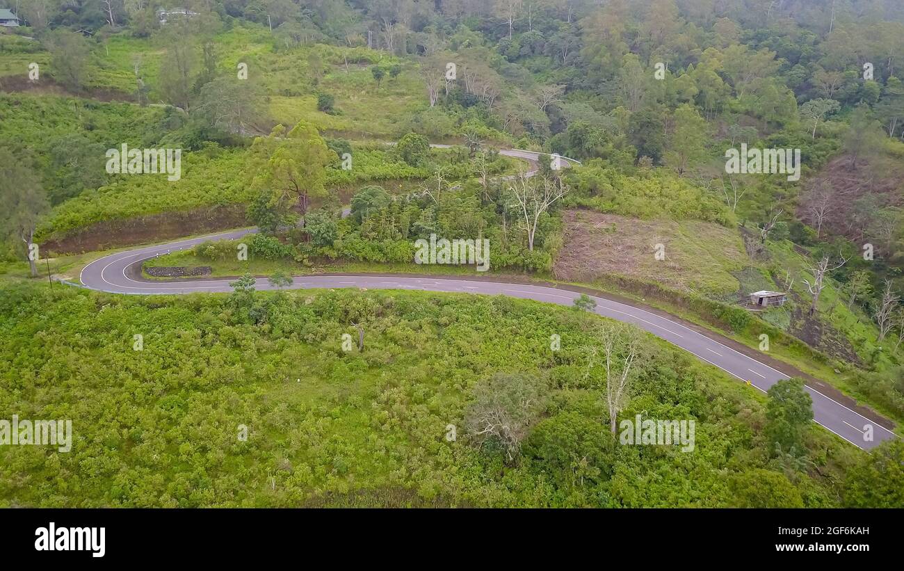 Indonesia flores rainforest in hi-res stock photography and images - Alamy