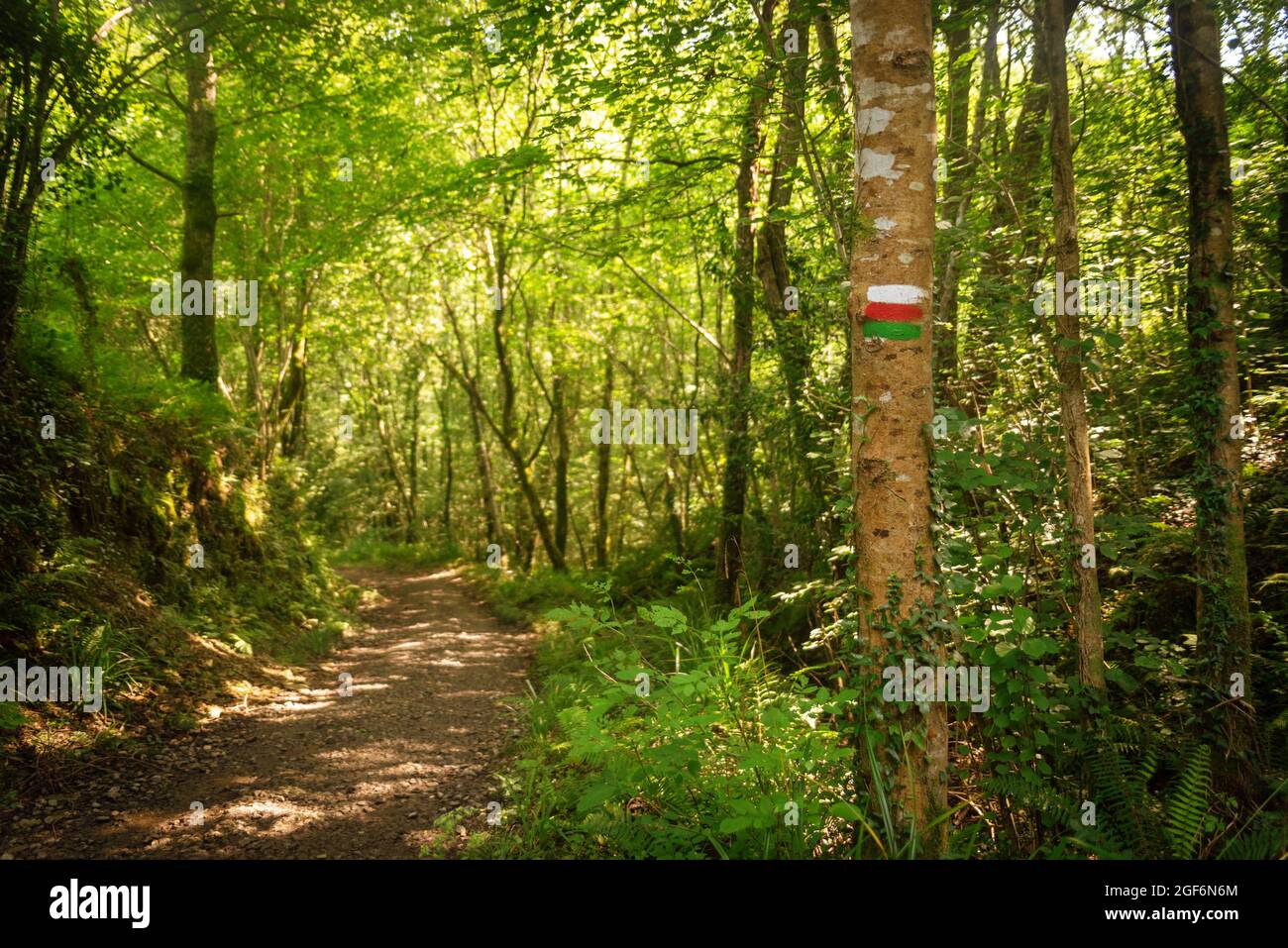 trail signs in a forest Stock Photo - Alamy