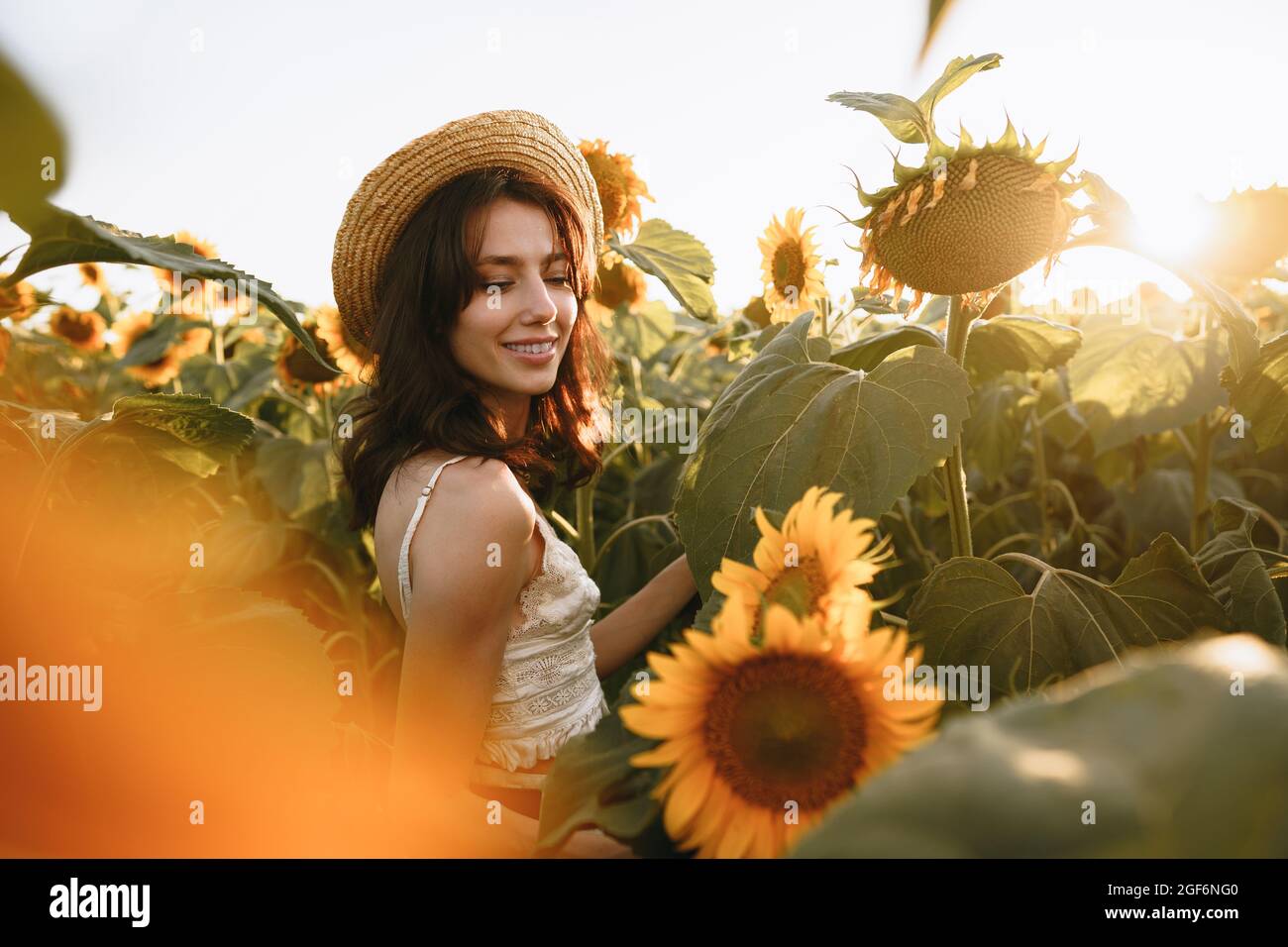 Smiling woman wearing a hat standing in a field of sunflowers in sunset ...