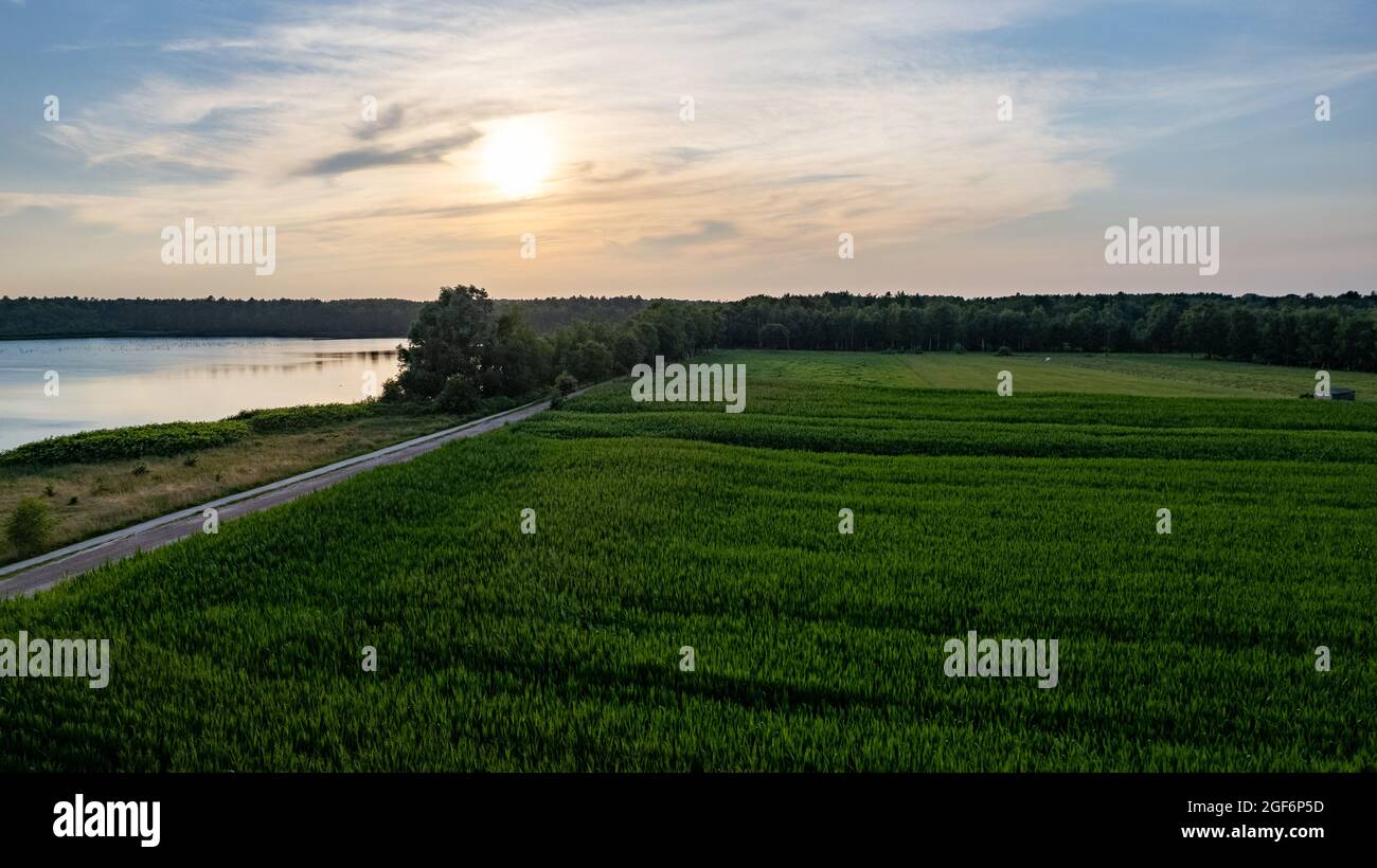Aerial view with a drone of a spring wavy agricultural countryside ...