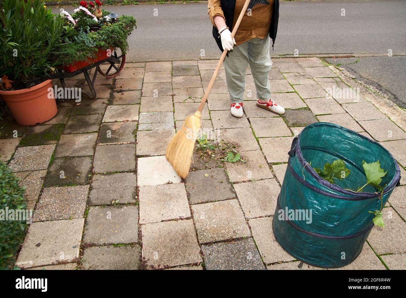 Sweep the leaves, sweep people, clean the garden labor Stock Photo - Alamy