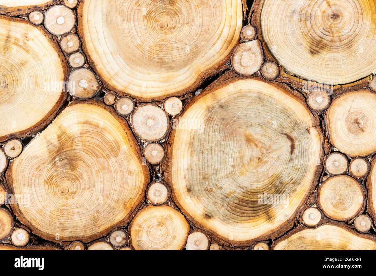 Wooden section hi-res stock photography and images - Alamy
