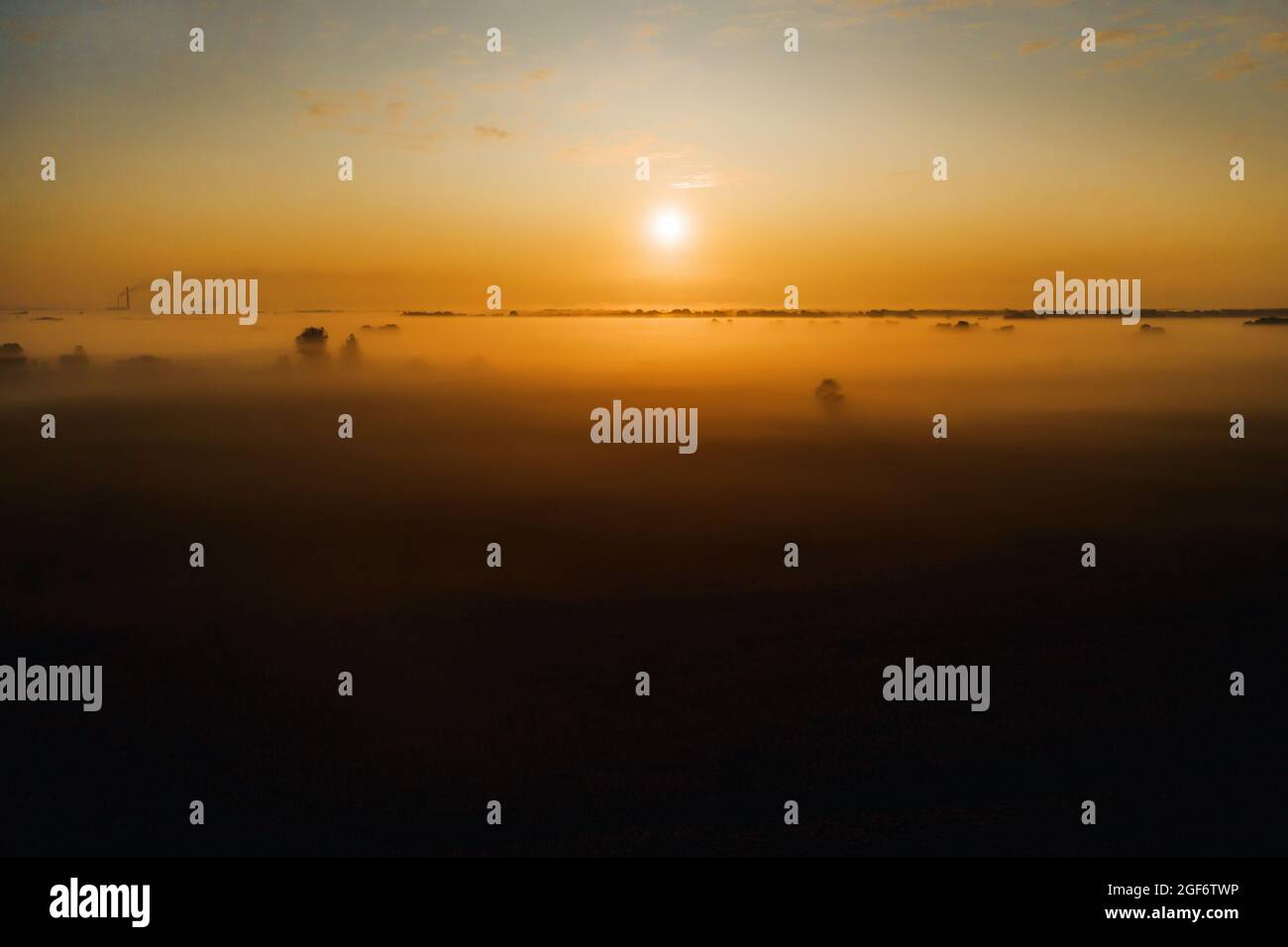 amazing sunrise in the countryside over a field of sunflowers. Amazing ...