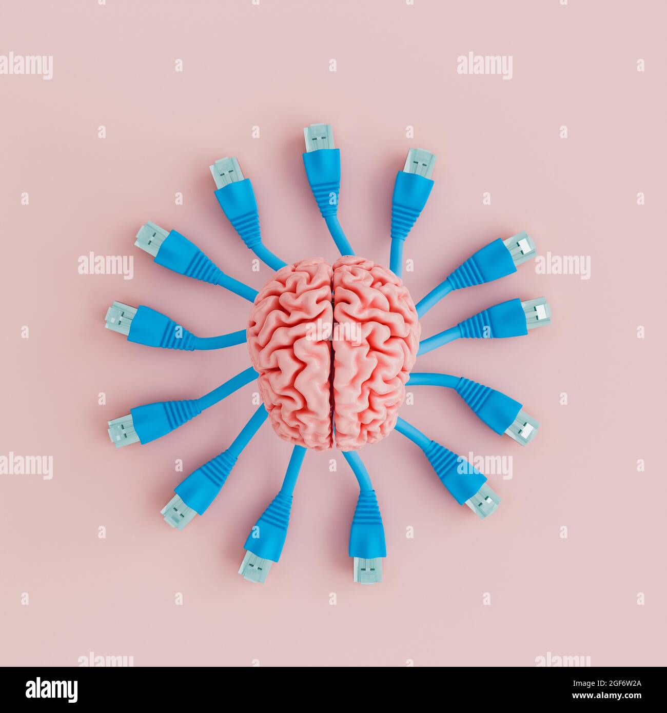 top view of a brain with network cables connected. concept of ...