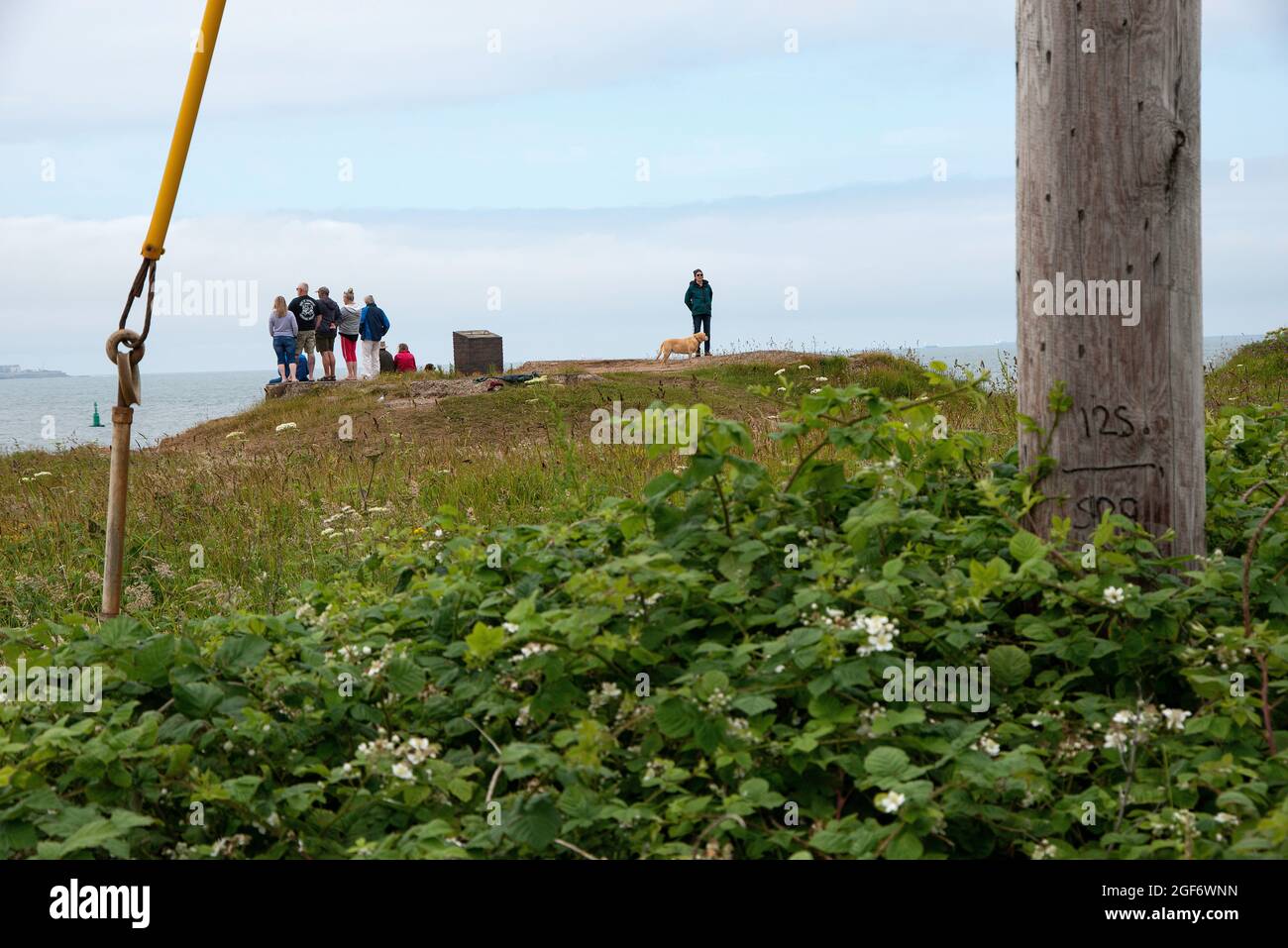 In search of nature Stock Photo - Alamy