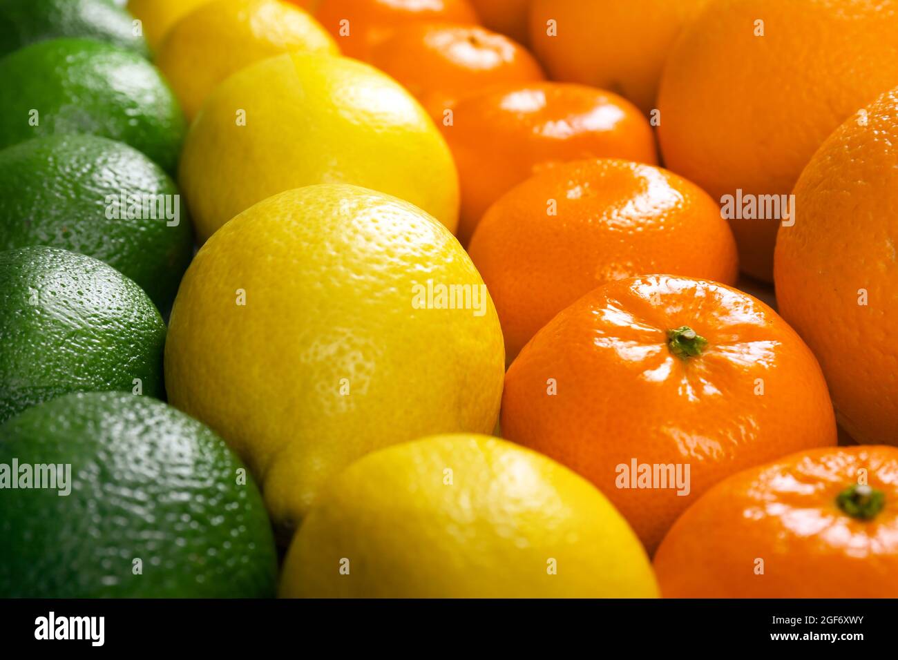 Colorful mixed citrus fruit sorted and lined up in rows, close up Stock ...