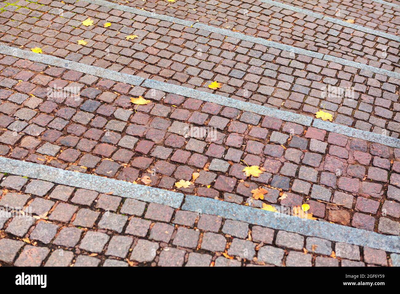 Cobblestone road with autumn leaves . Walking in the fall season ...