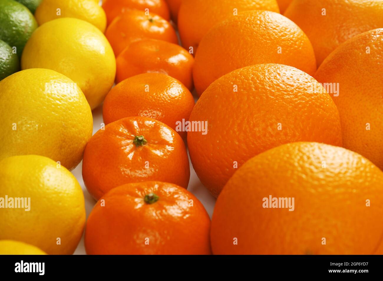 Colorful mixed citrus fruit sorted and lined up in rows, close up Stock ...