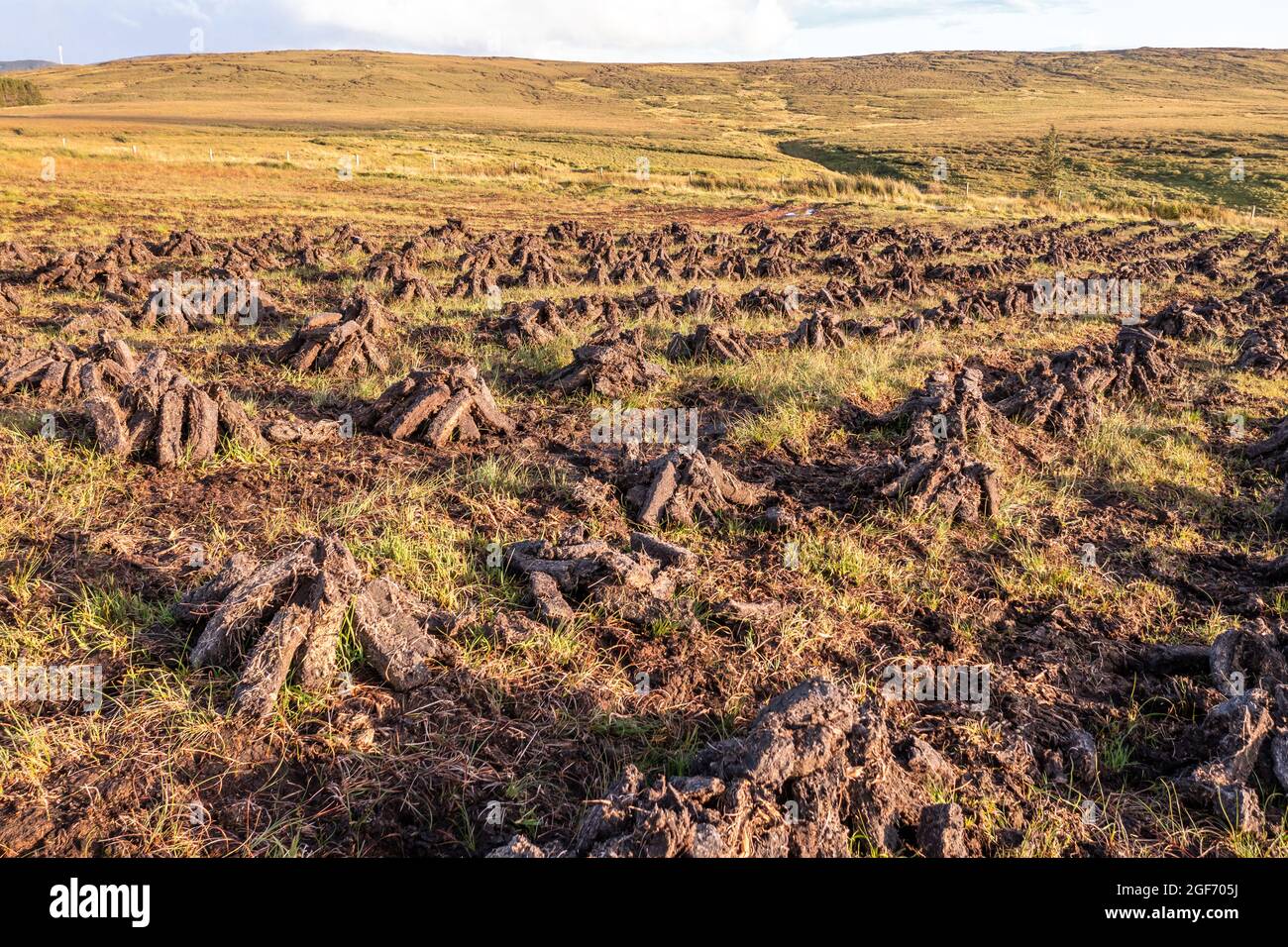 Bagging peat hi-res stock photography and images - Alamy