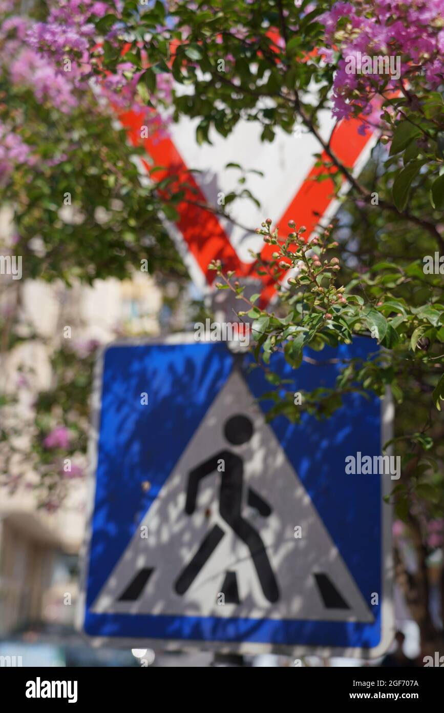 road signs in trees and flowers Stock Photo - Alamy