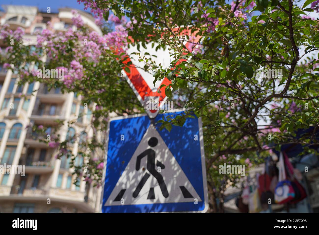 road signs in trees and flowers Stock Photo - Alamy