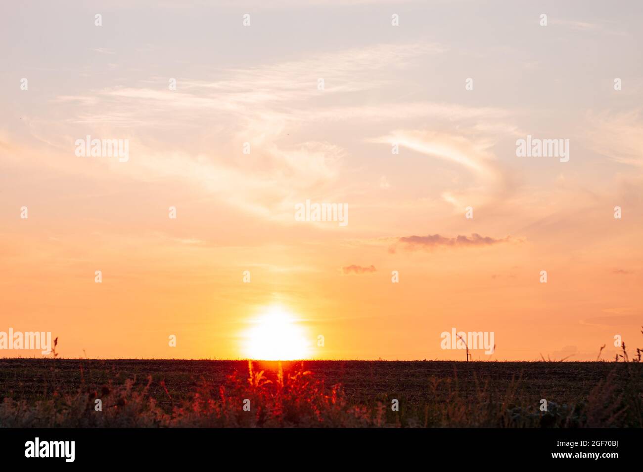 Sunset over countryside field with wild grass and plants. Evening rural ...