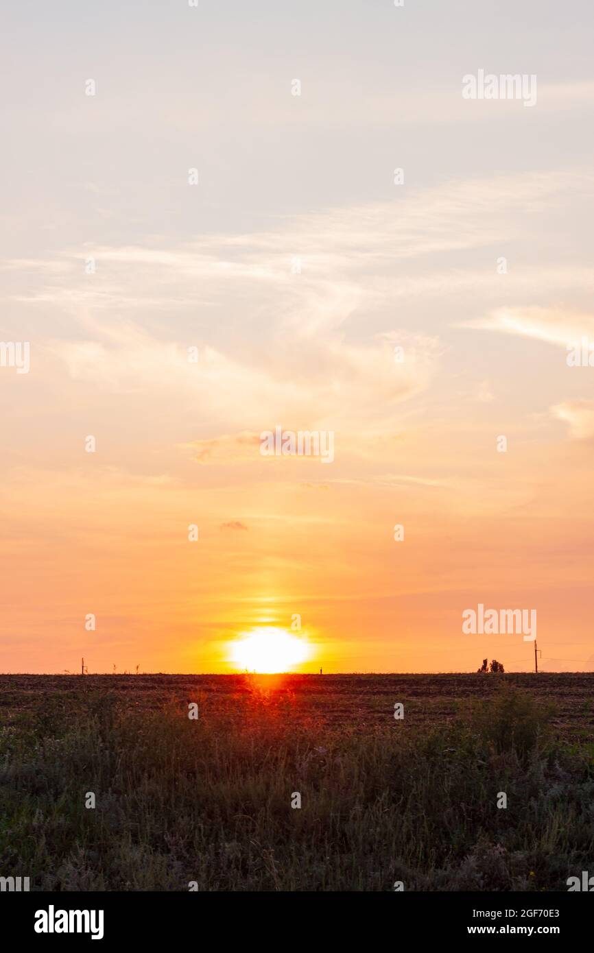 Flying over golden wheat field hi-res stock photography and images - Alamy