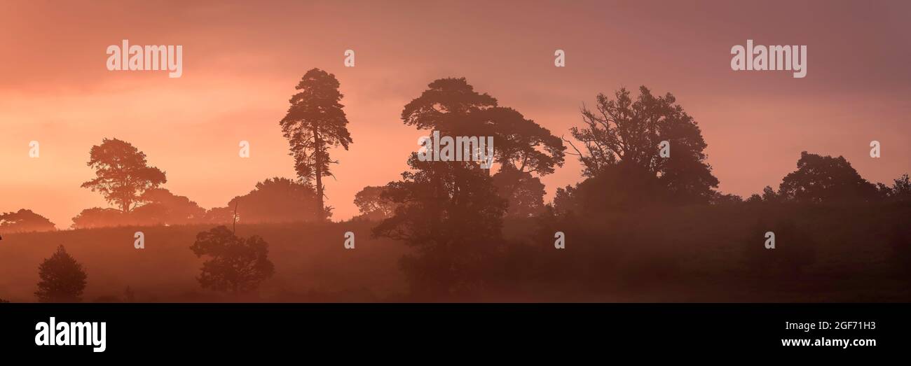 Lord piece common hi-res stock photography and images - Alamy