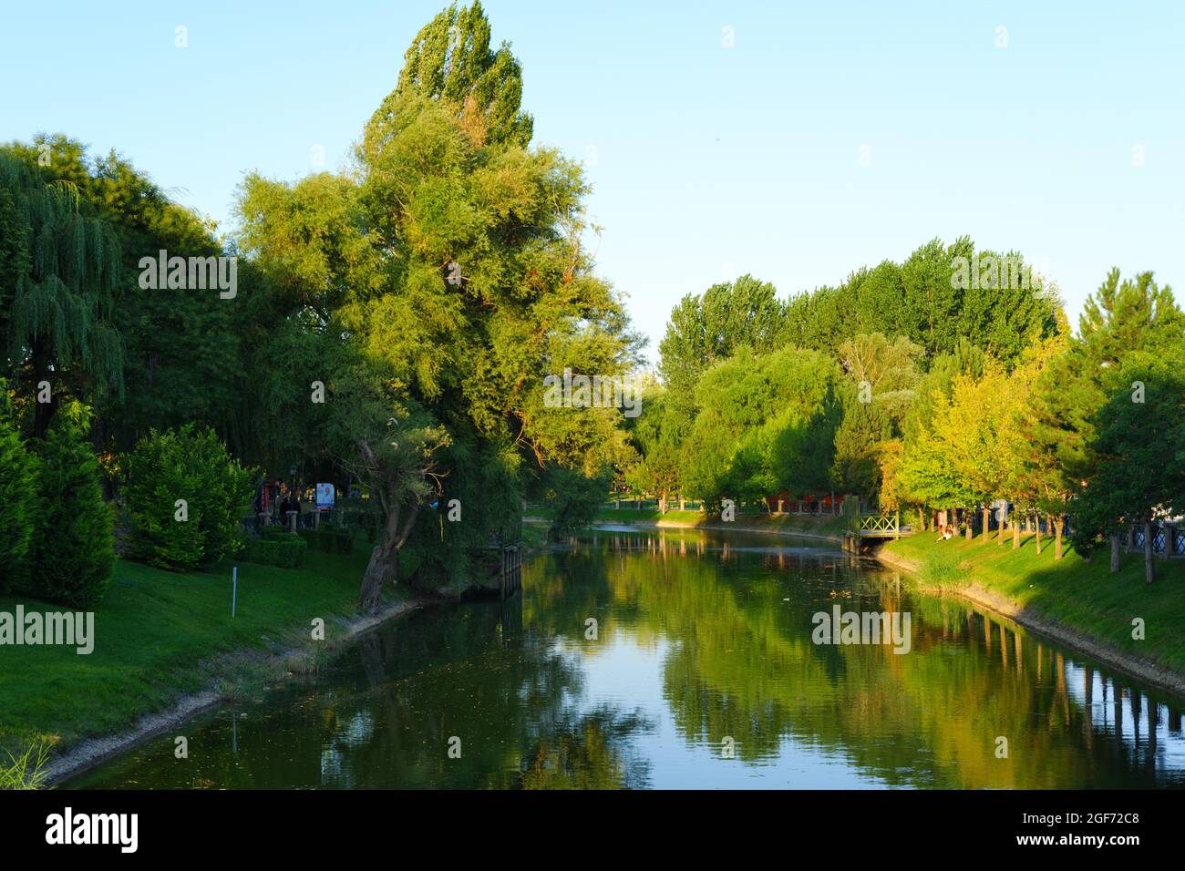 Skyline grass trees scenic green hi-res stock photography and images ...