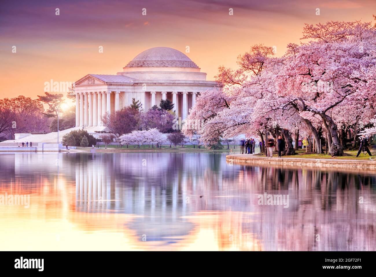 the Jefferson Memorial during the Cherry Blossom Festival. Washington, DC Stock Photo - Alamy