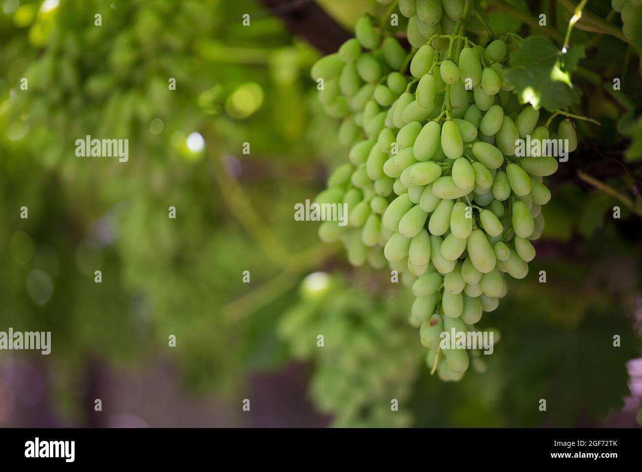 Hexriver hi-res stock photography and images - Alamy