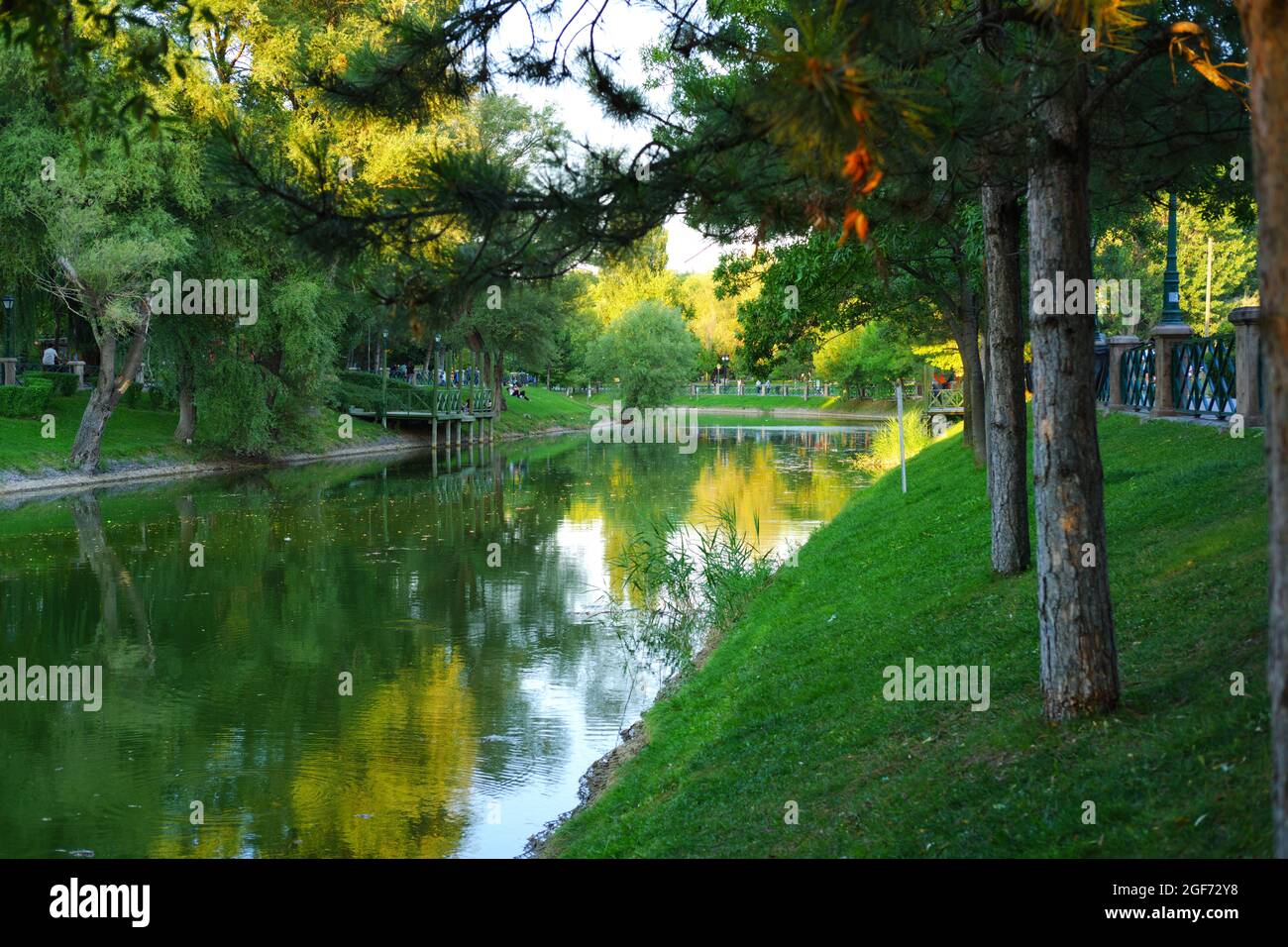 Skyline grass trees scenic green hi-res stock photography and images ...