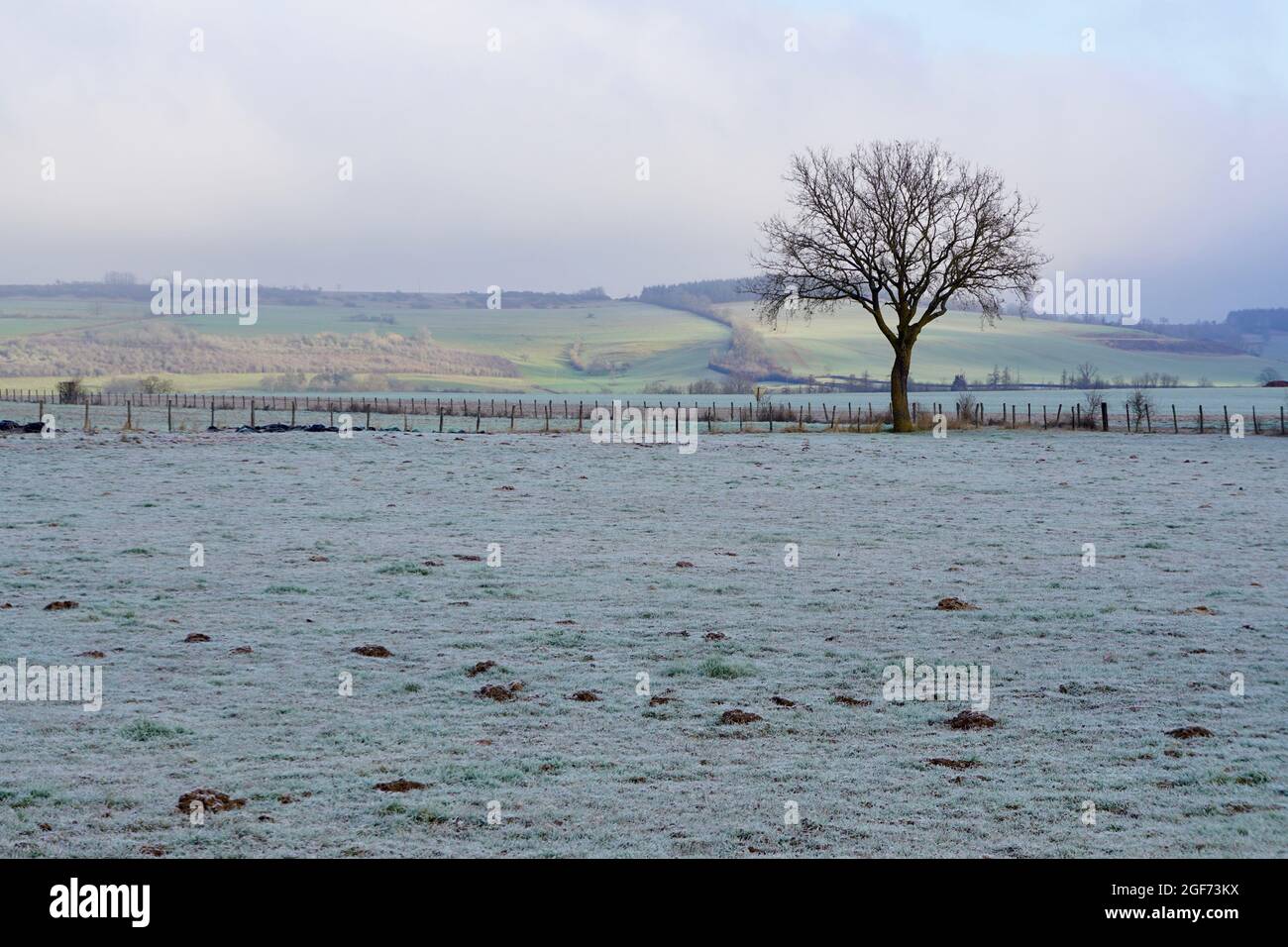 Snowscape hi-res stock photography and images - Alamy