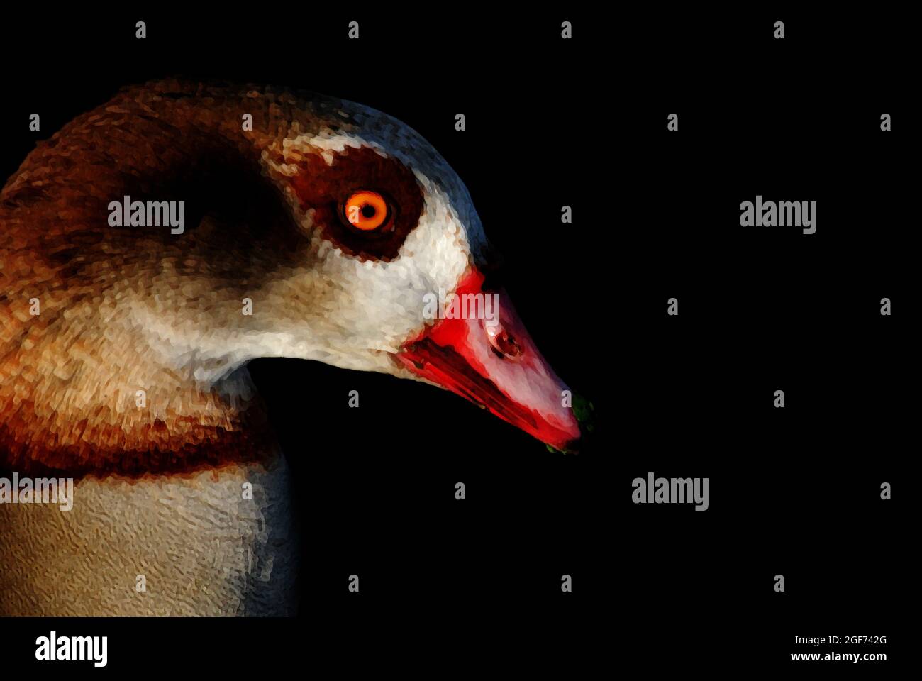 Bold multi-media art work showing the head of an adult male Egyptian ...