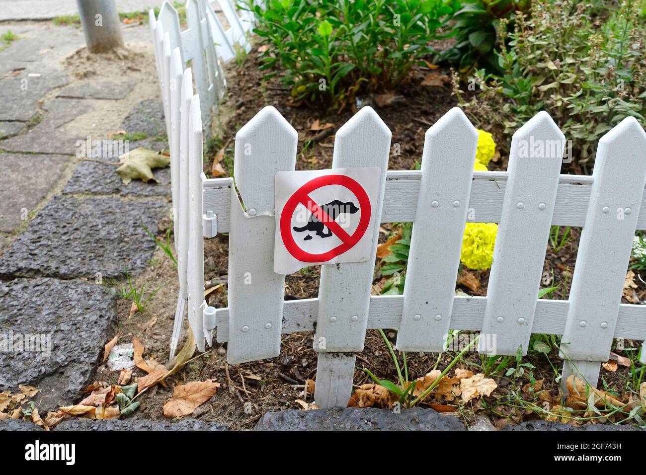 Warning sign - No dog excrements - in Berlin Stock Photo - Alamy
