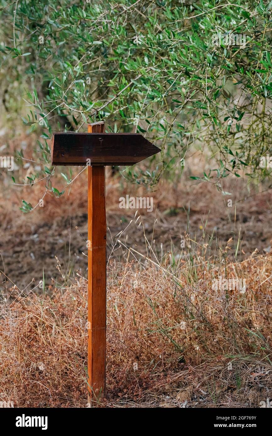 Old weathered wooden signpost and arrow sign in a garden Stock Photo ...