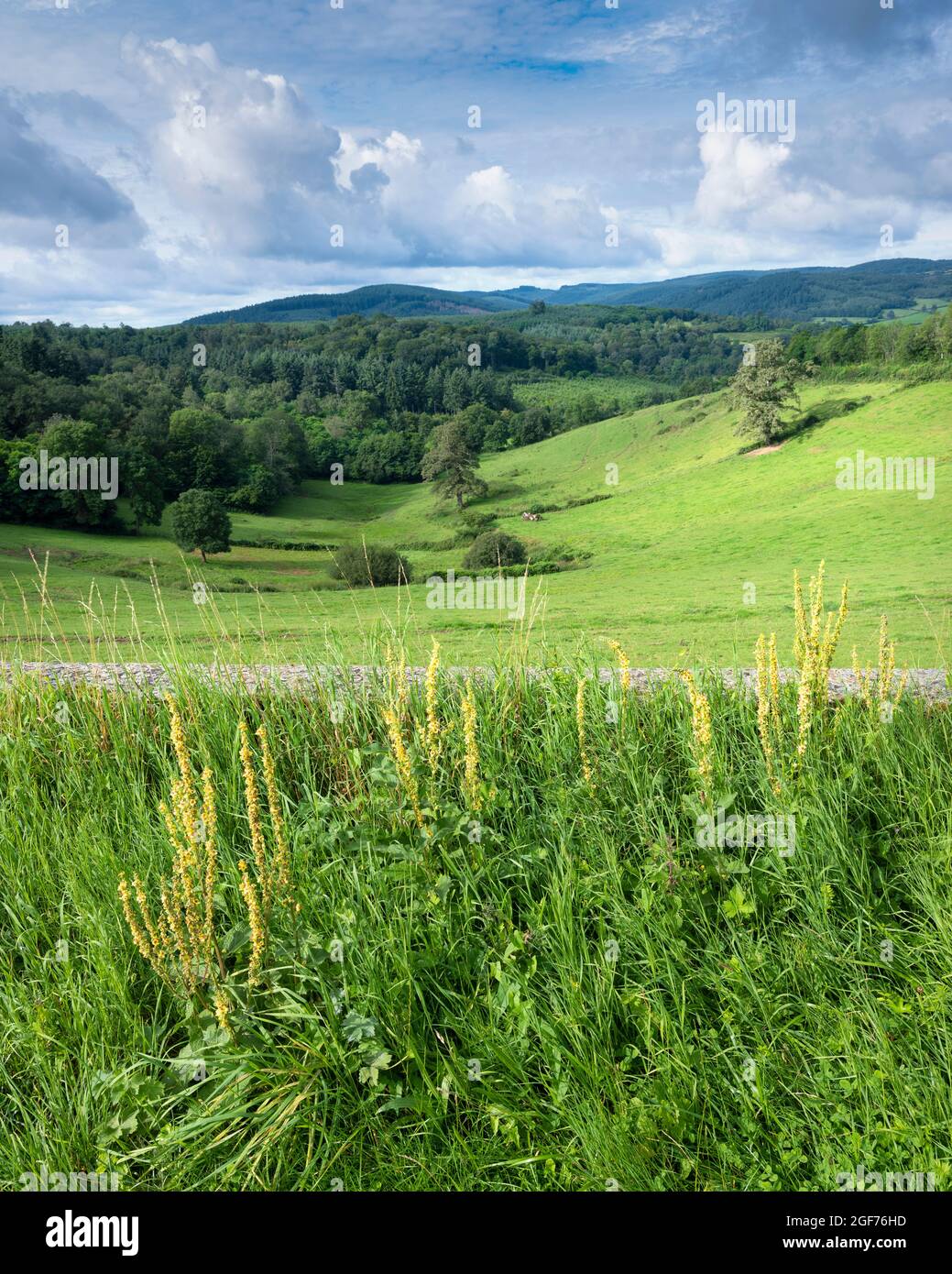 Morvan landscape hi-res stock photography and images - Alamy