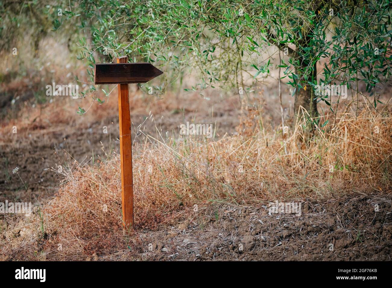 Old weathered wooden signpost and arrow sign in a garden Stock Photo ...