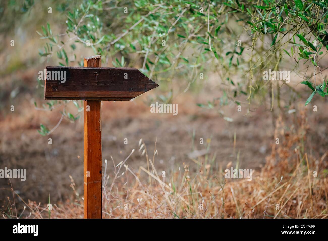 Old weathered wooden signpost and arrow sign in a garden Stock Photo ...