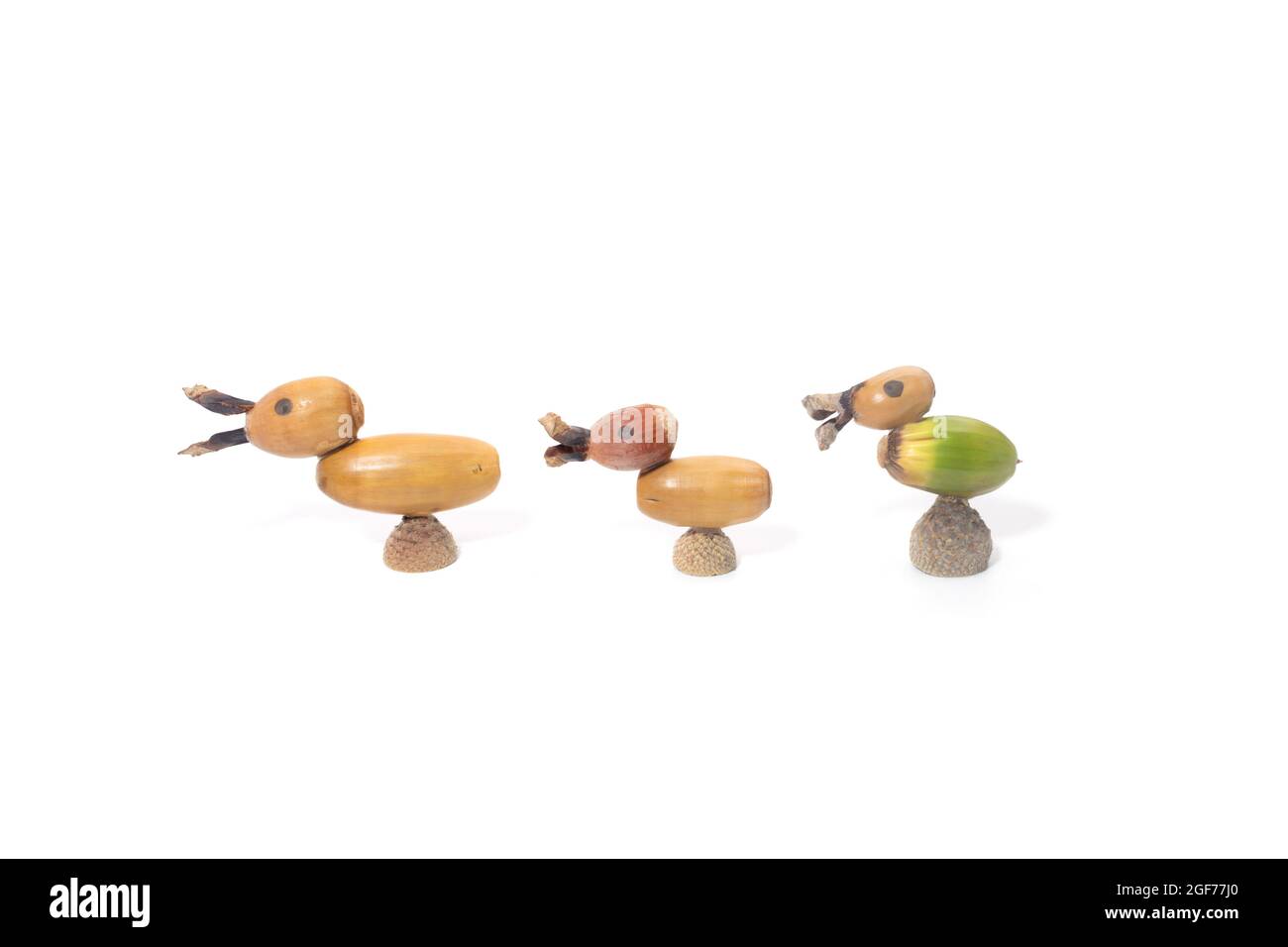 Animal learning activity Cut Out Stock Images & Pictures - Alamy