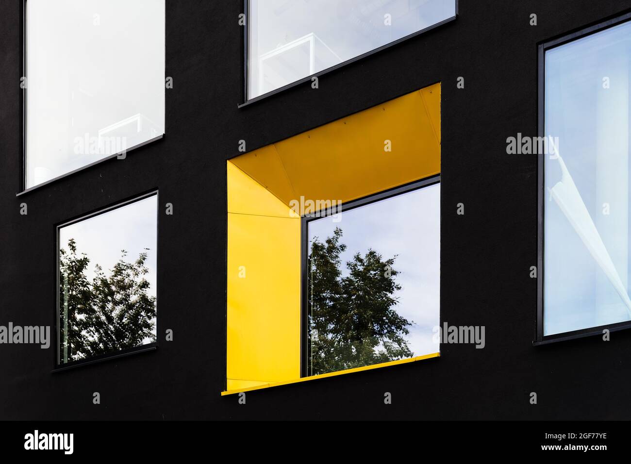 Yellow window on black facade with reflection of green tree on ...