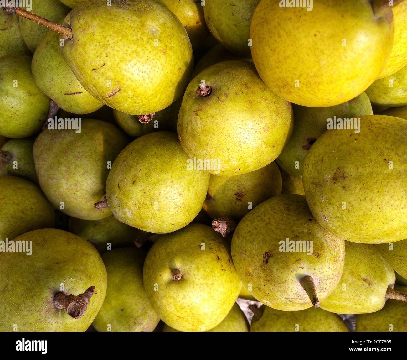 Top view of yellow pears under the light Stock Photo - Alamy