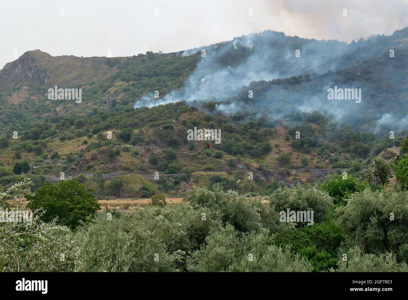 Fire helicopter dropping water from a bucket on a forest fire in the ...