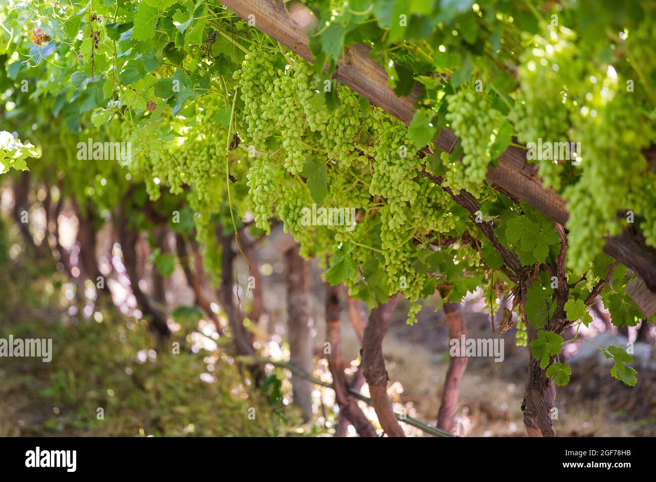 Hexriver hi-res stock photography and images - Alamy